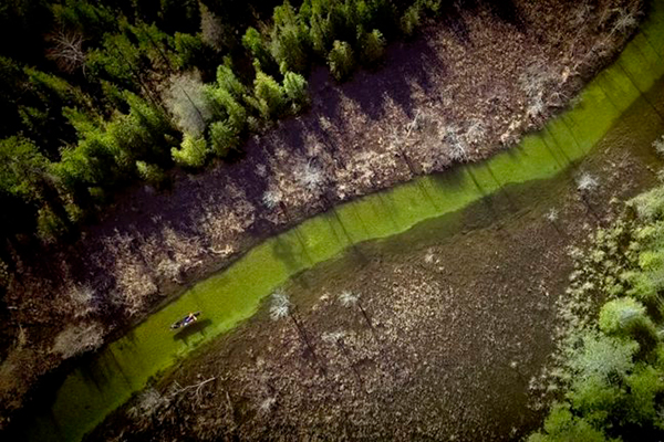 Presque Isle County - Visit Alpena