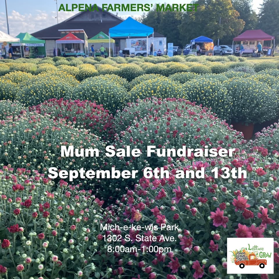 Fall Mum Fundraiser | Visit Alpena